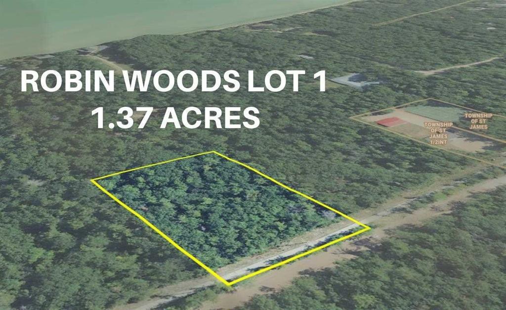 TBD Donegal Bay Road For Sale, Beaver Island, MI 49782 Land | ByOwner