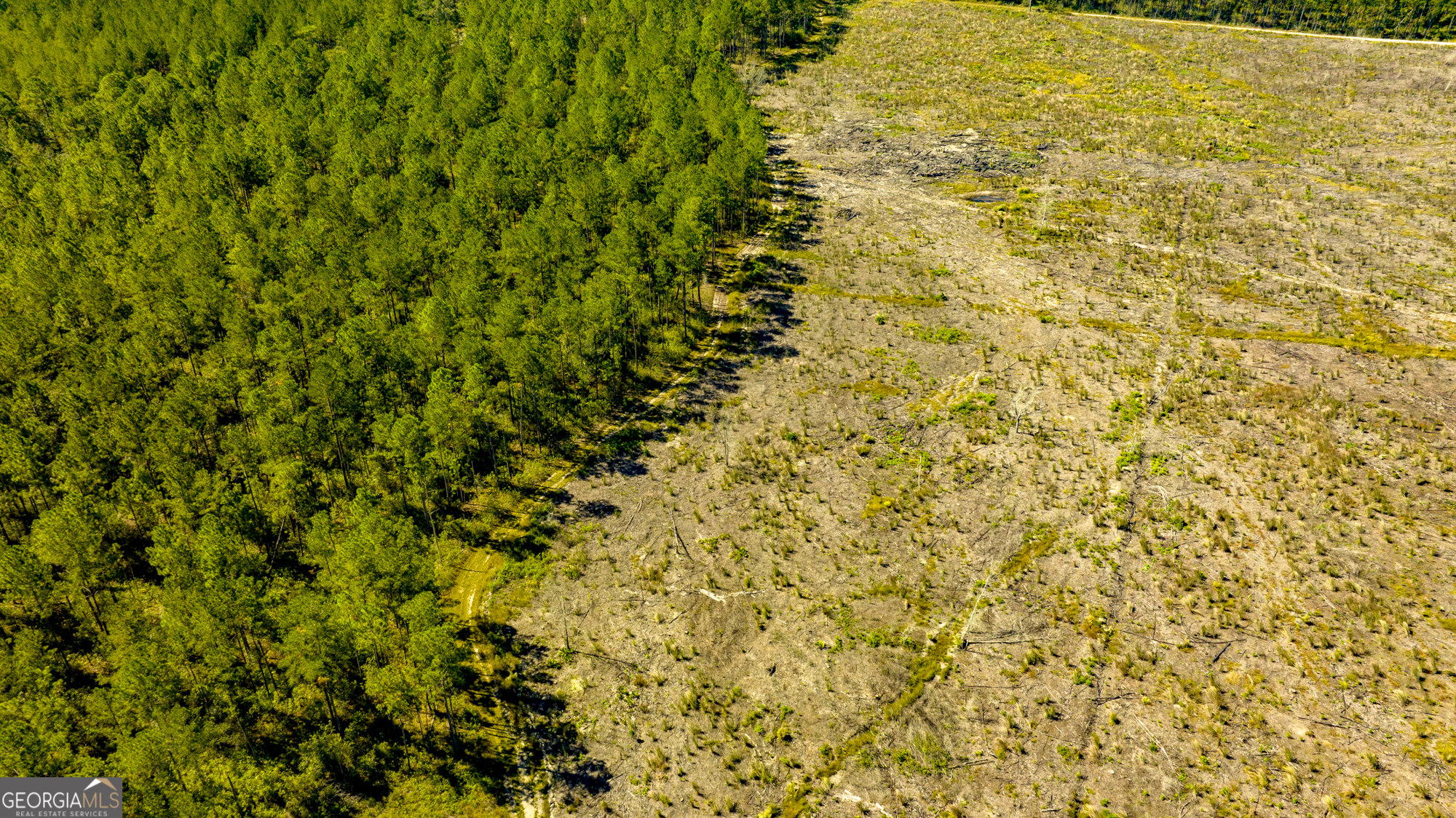 O Bay Branch Road For Sale, Claxton, GA 30417 Land | ByOwner